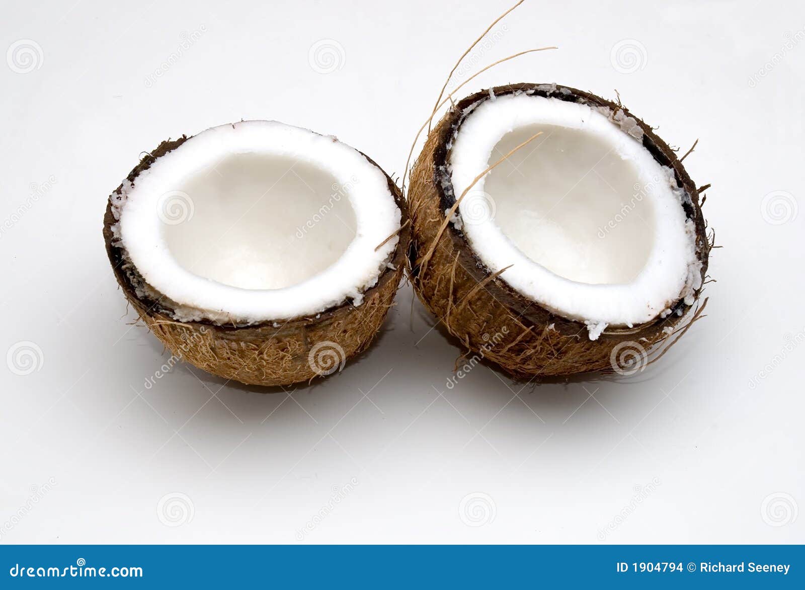 A Freshly Split Coconut stock photo. Image of split, chewy - 1904794