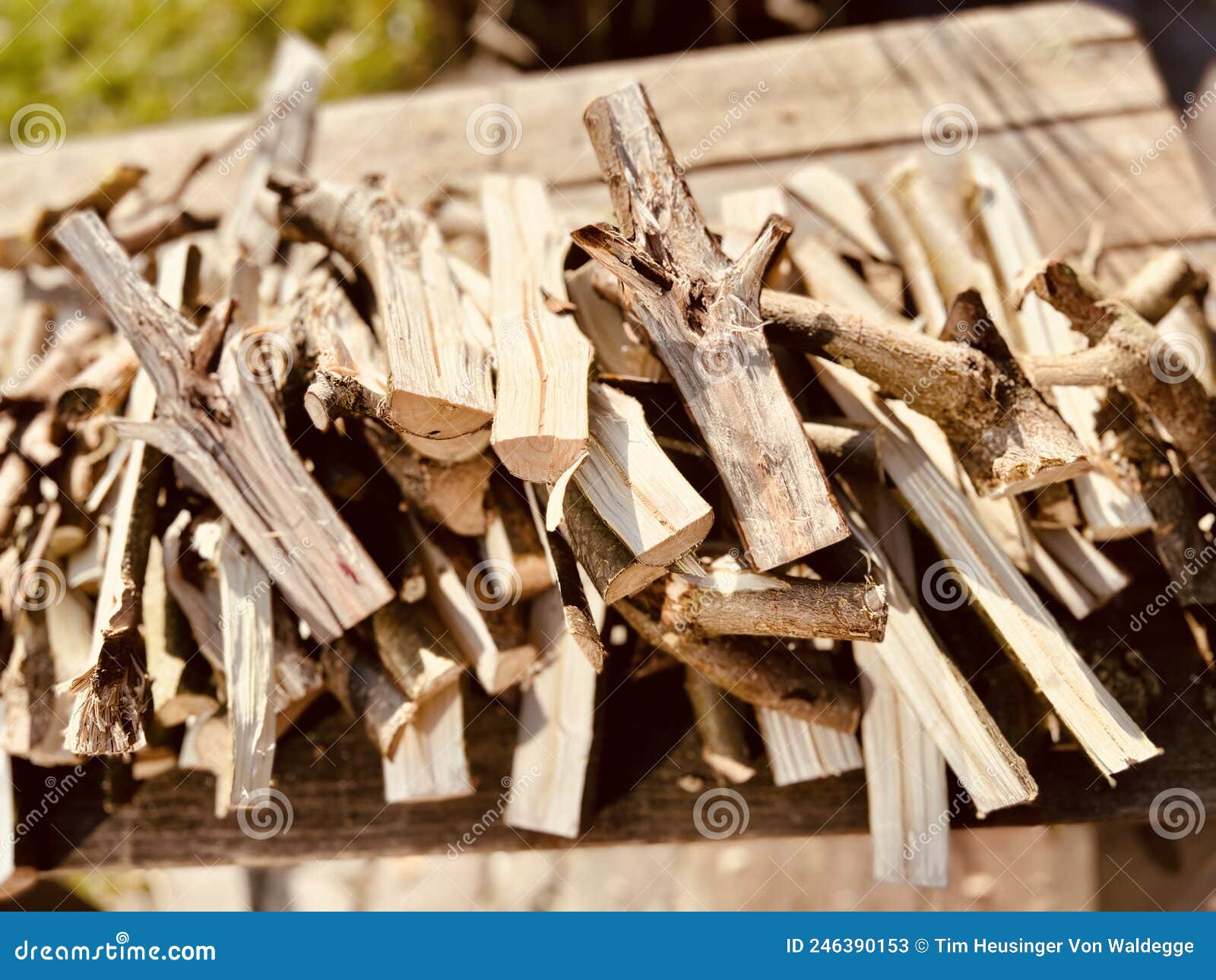 Freshly Split Firewood, Loosely Stacked on Top of Each Other Stock ...