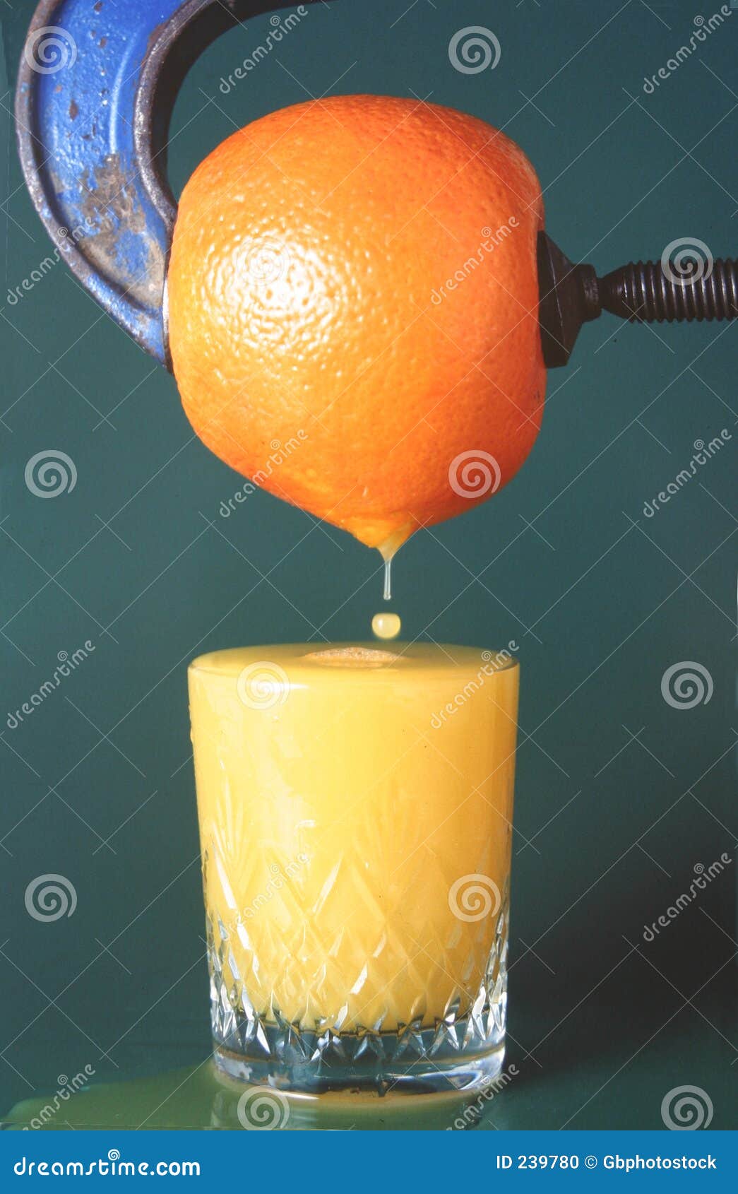Freshly Squeezed Orange stock photo. Image of stress, crampclamp - 239780