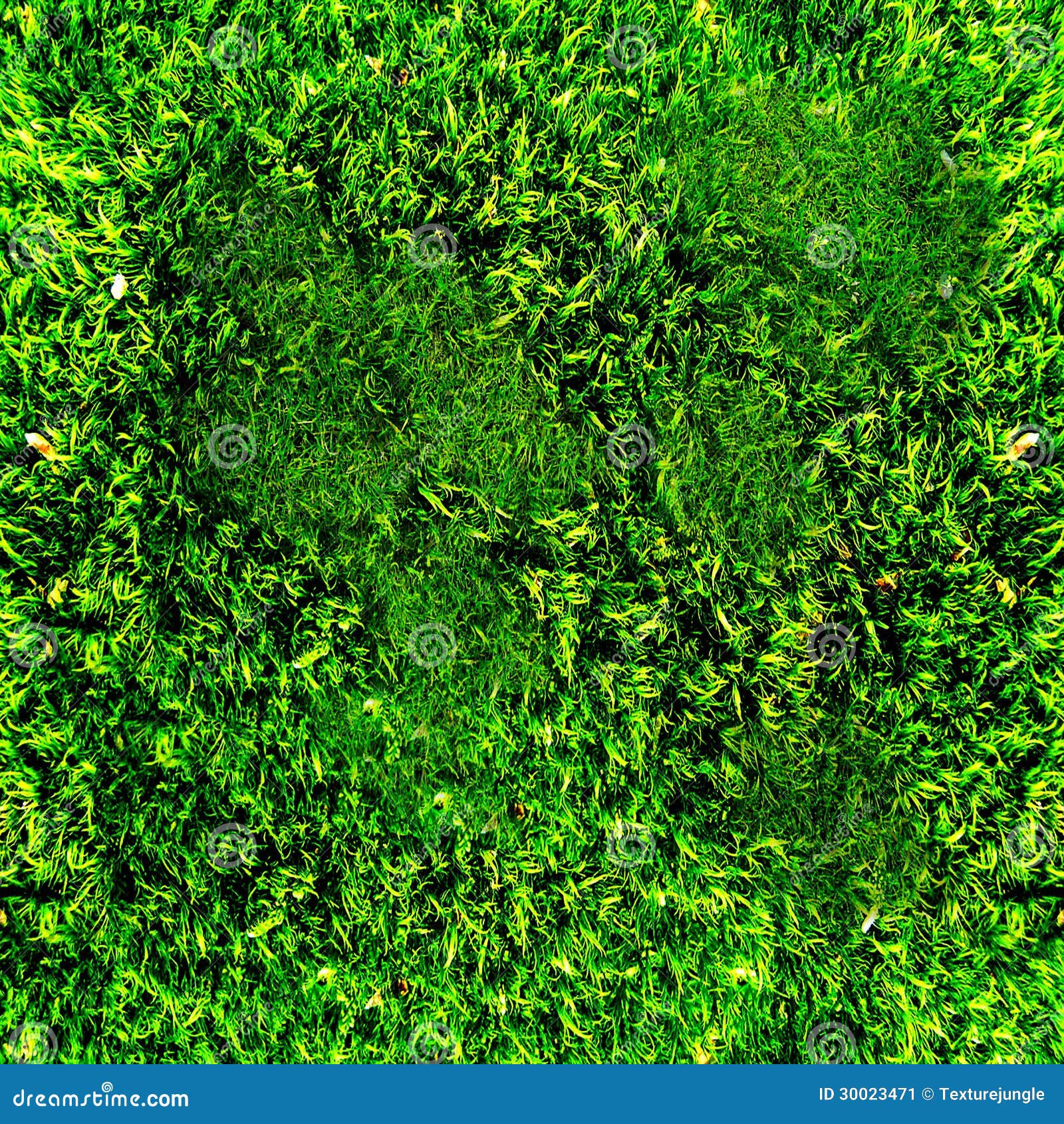Seamless Grass Texture stock image. Image of lush, plant - 30023471