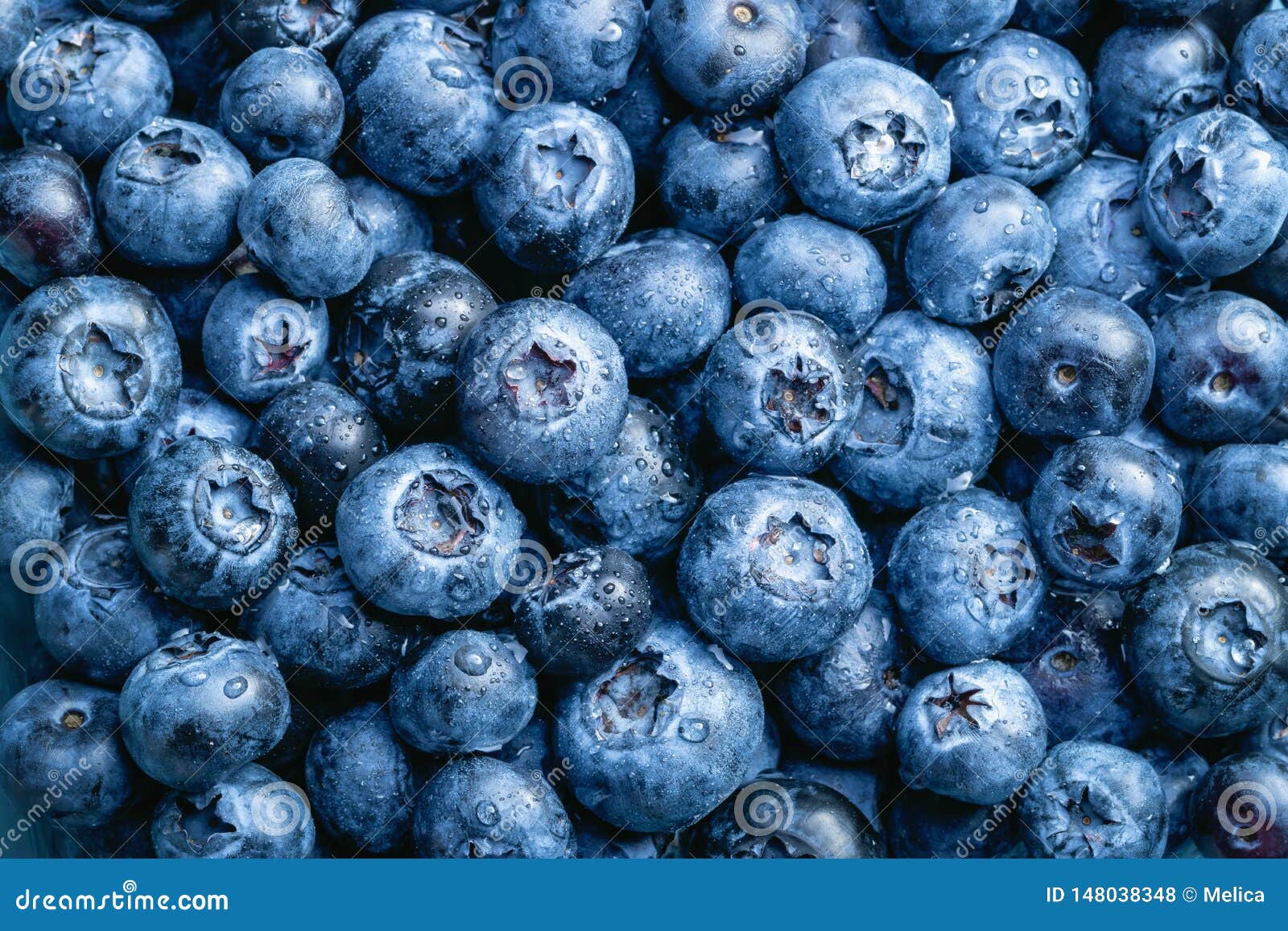 Freshly Washed Blueberries stock photo. Image of juicy - 148038348