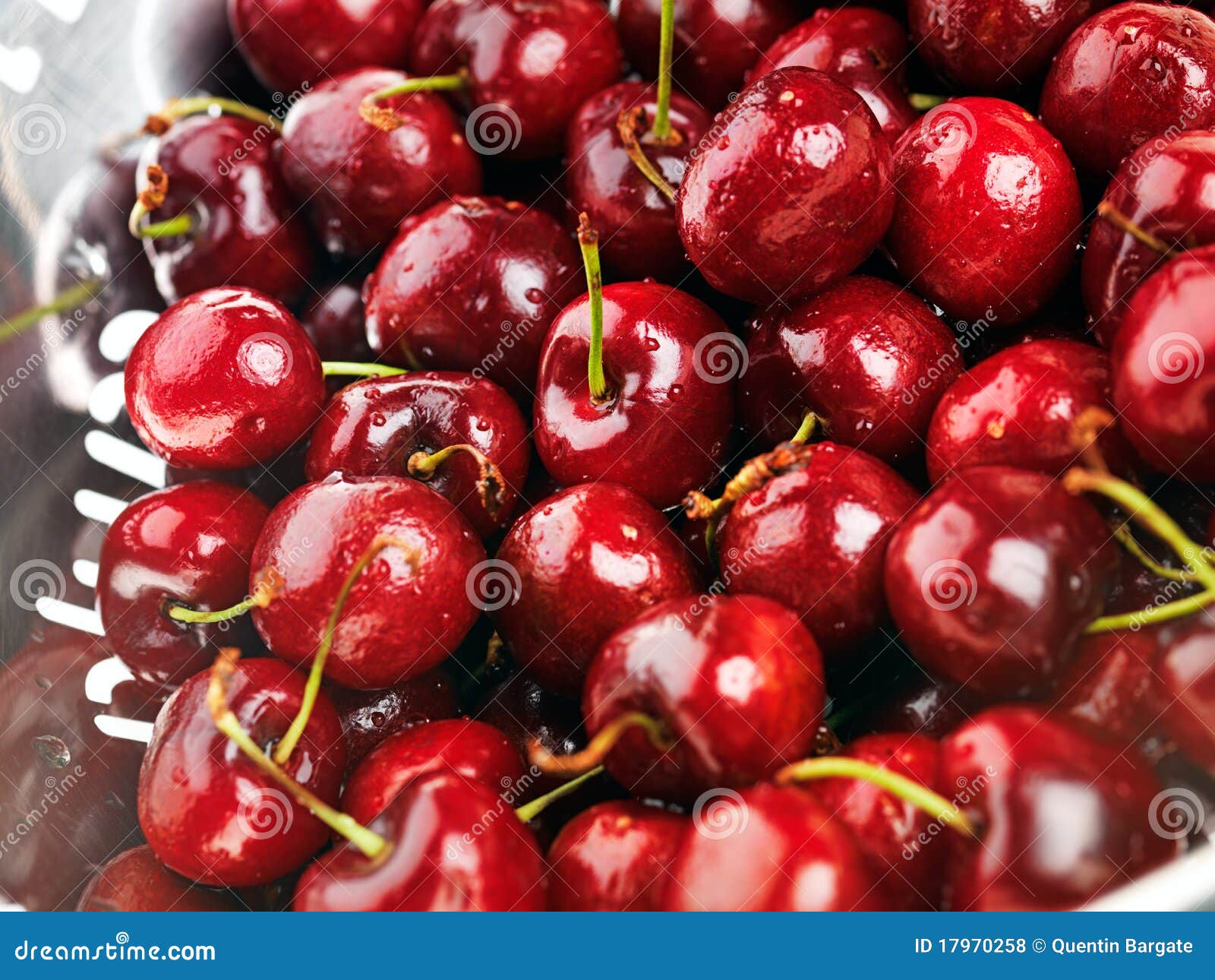 Freshly washed cherries stock photo. Image of washed - 17970258