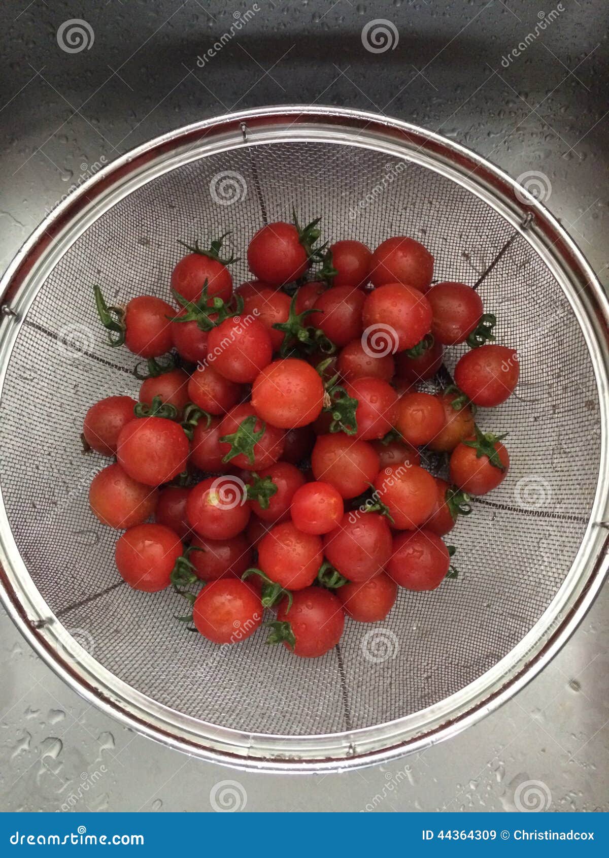 Freshly Washed Tomatoes stock image. Image of ready, metal - 44364309