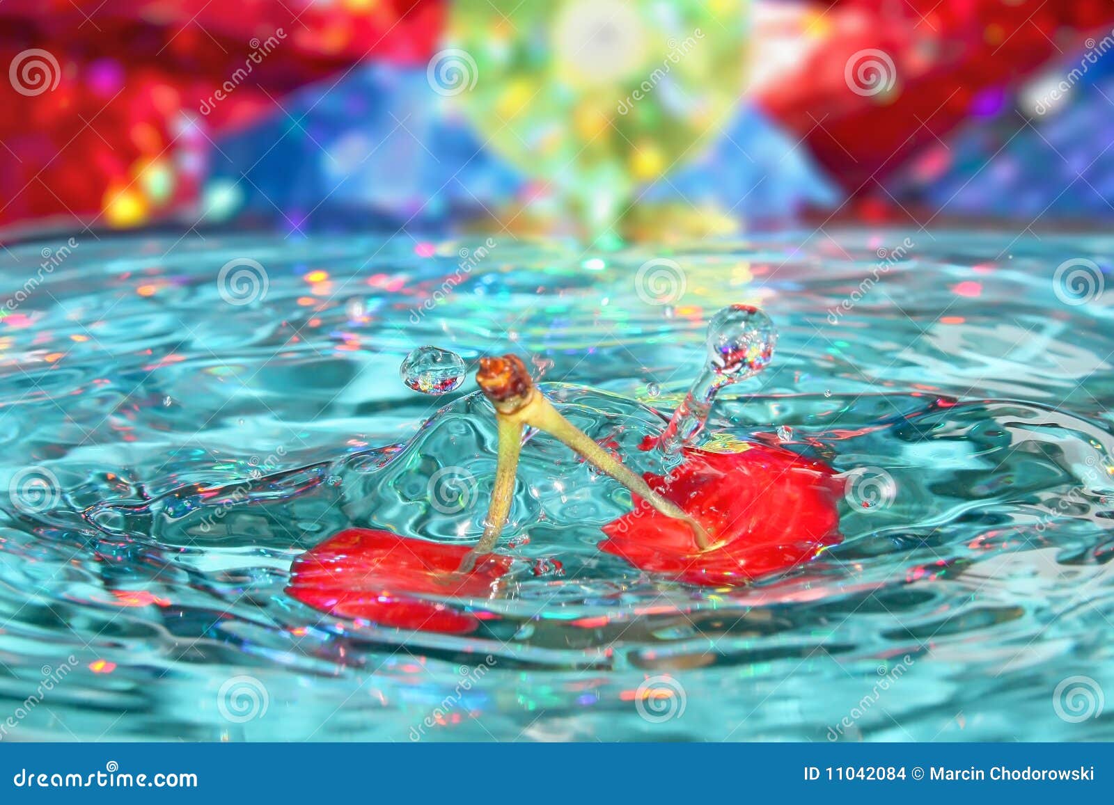 Freshness. stock photo. Image of color, beverage, green - 11042084