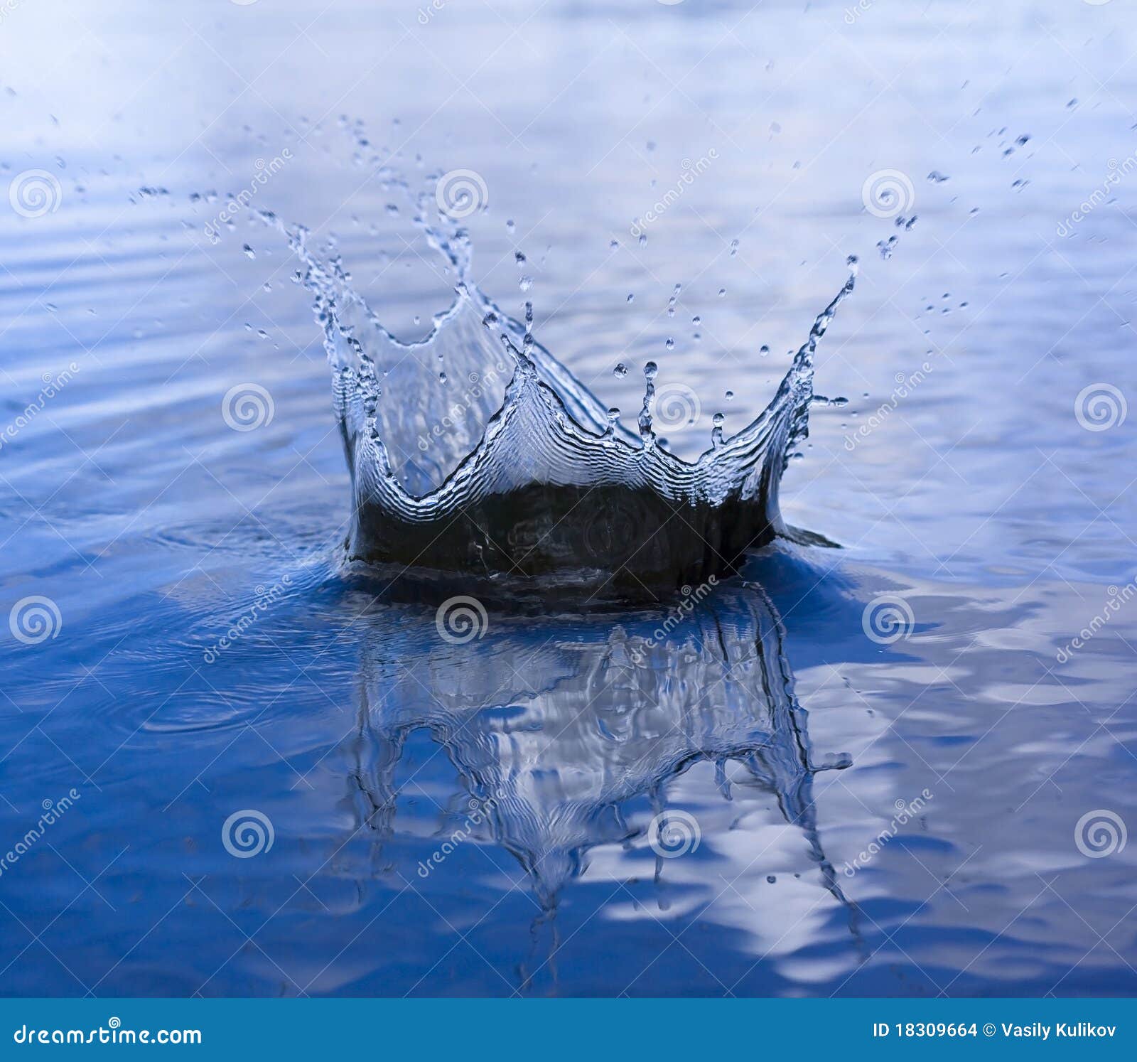 Freshness stock photo. Image of life, environment, view - 18309664