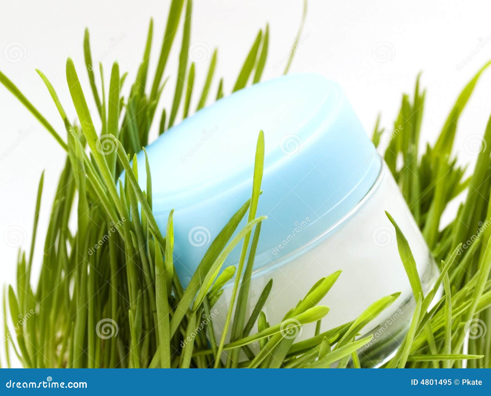 Freshness stock image. Image of care, femininity, healthcare - 4801495