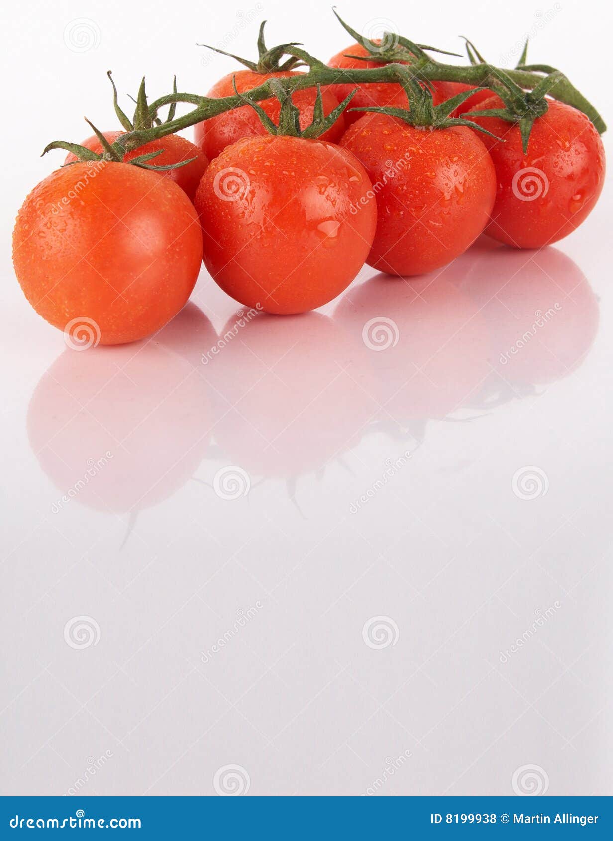 Freshness stock photo. Image of nature, gourmet, circle - 8199938