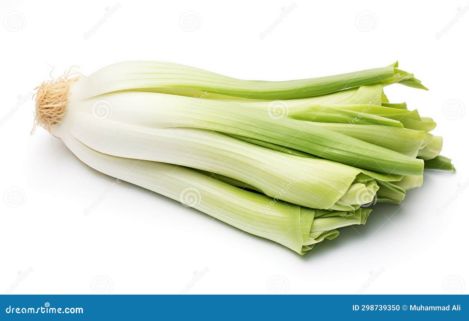 Freshness Captured Leeks on White Background Stock Photo - Image of ...