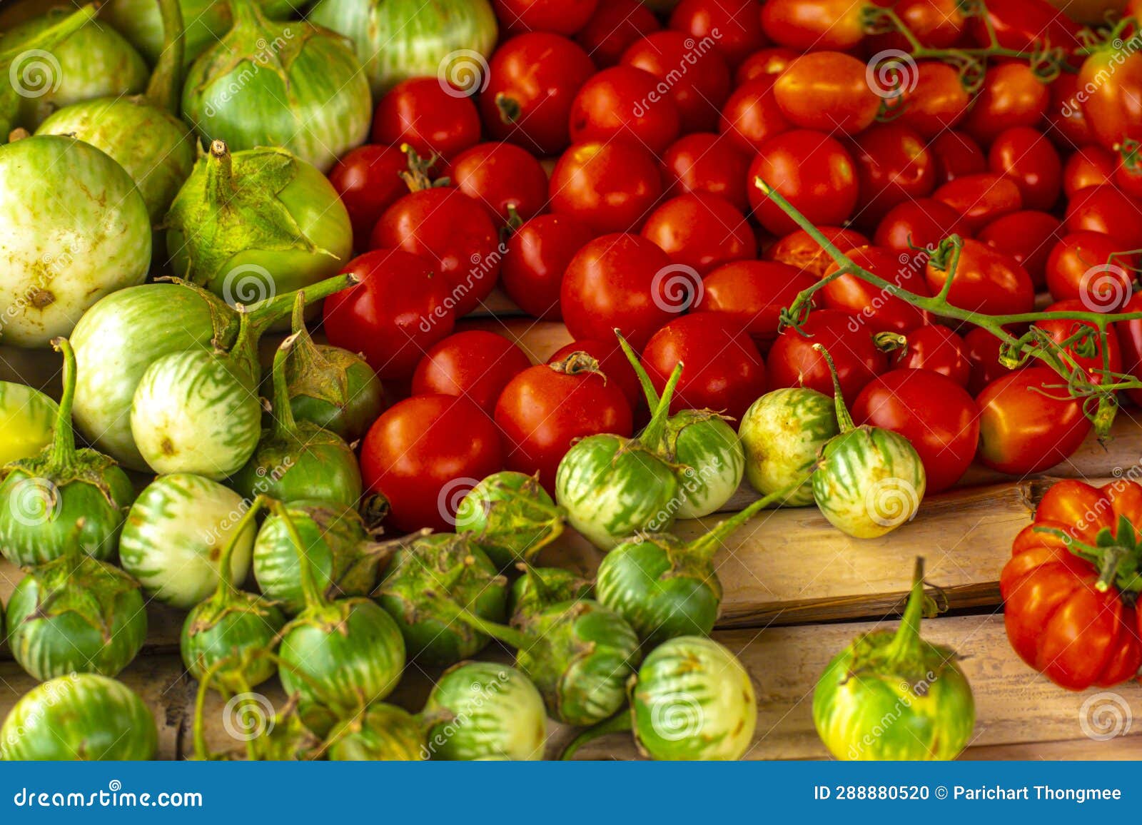 The Freshness Chronicles: a Journey into Red Tomato Farms Stock Photo ...