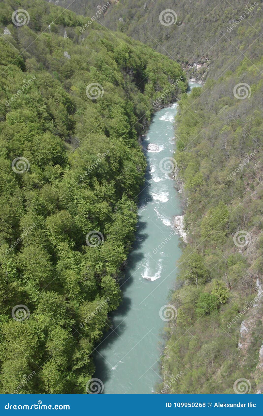 Freshness of nature stock photo. Image of green, landscape - 109950268