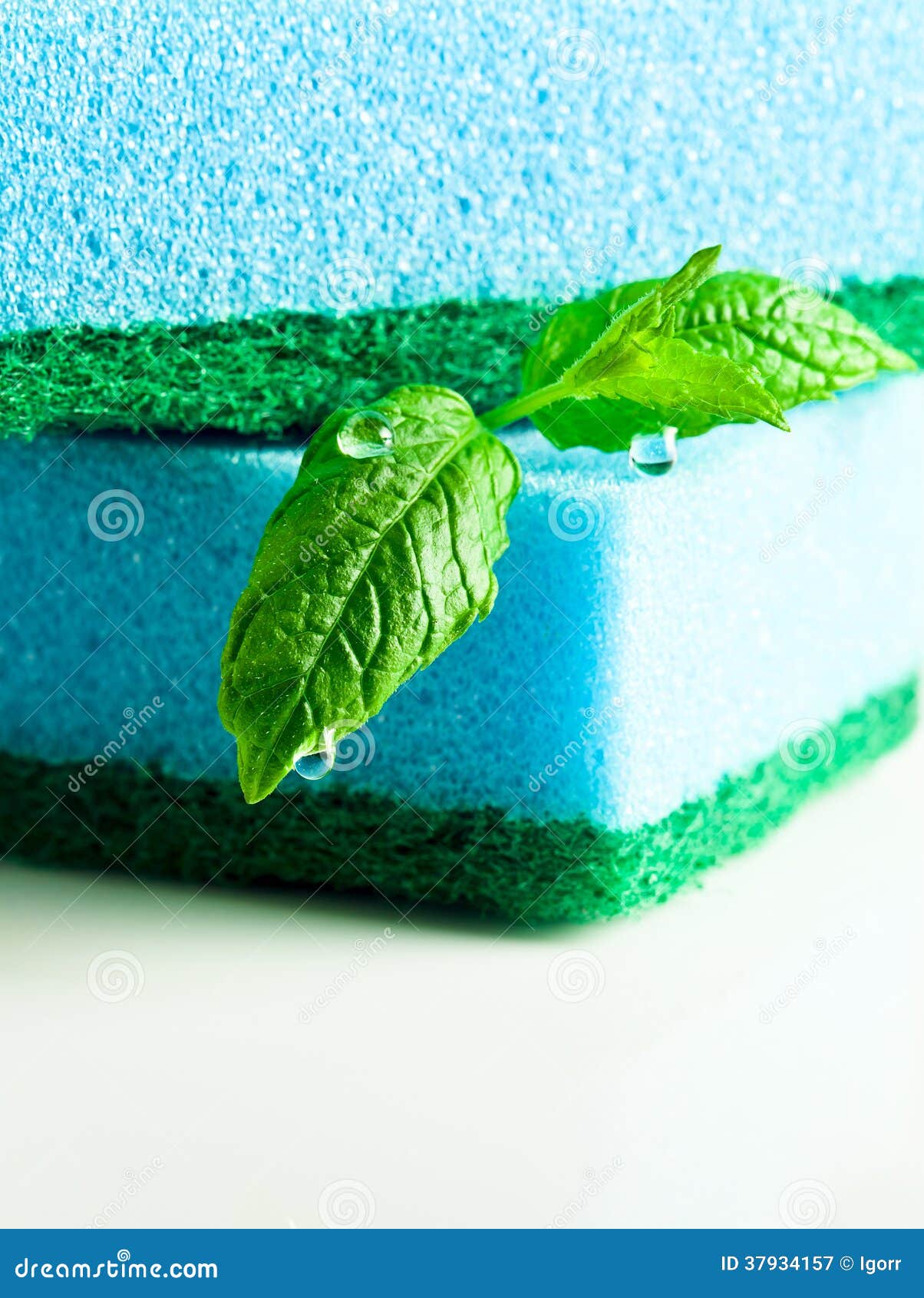 Freshness and purity stock image. Image of twig, freshness - 37934157