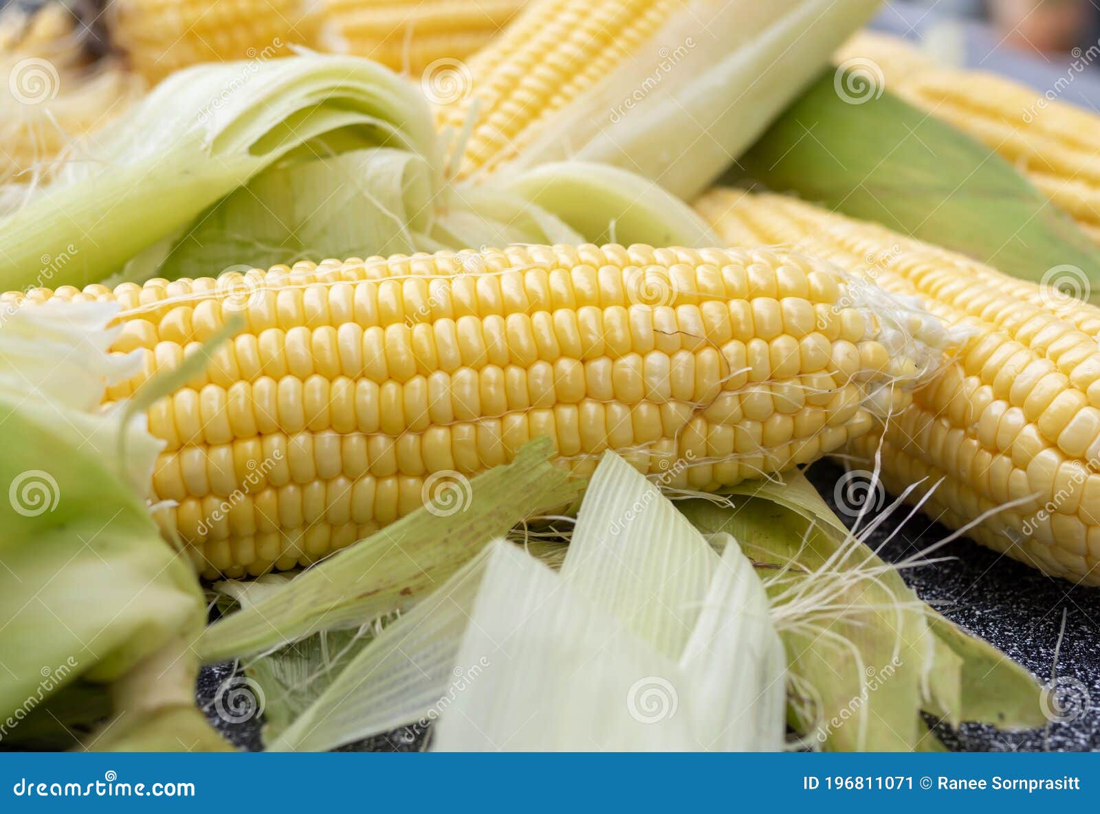Freshness Raw Maize with Peeled on the Table Stock Image - Image of ...