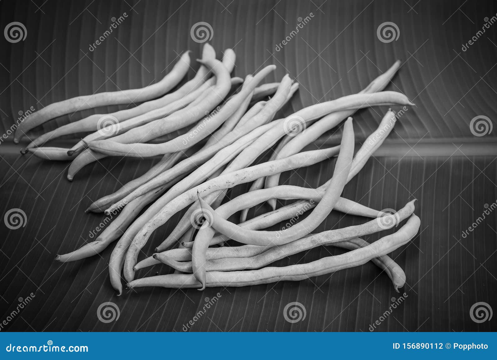 Freshness String Beans on a Banana Leaf Stock Photo - Image of meal ...
