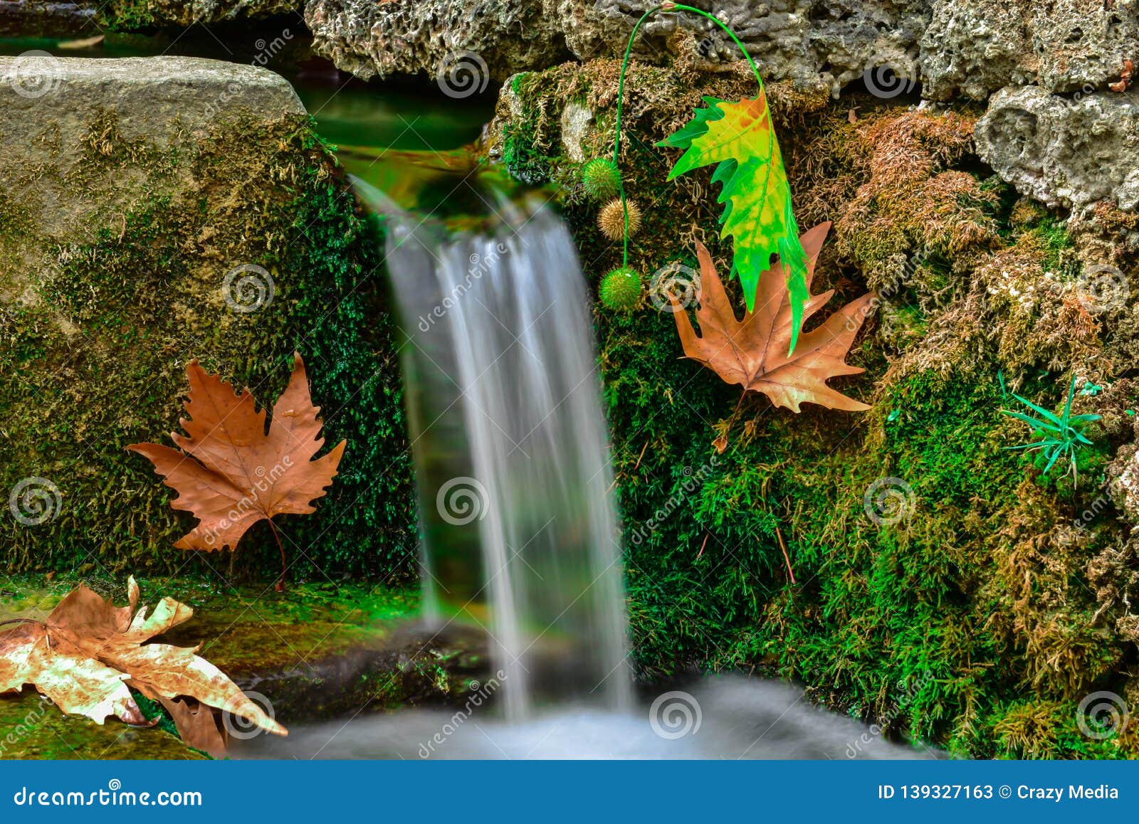 Freshness and Tranquility of Natural Waters Stock Image - Image of ...