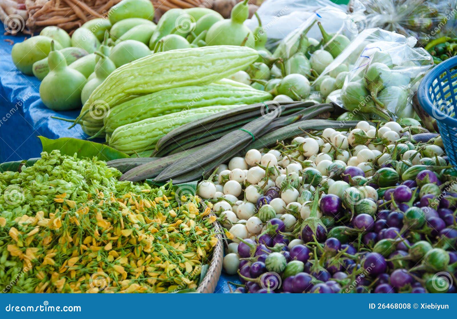 Freshness vegetables stock photo. Image of healthy, green - 26468008