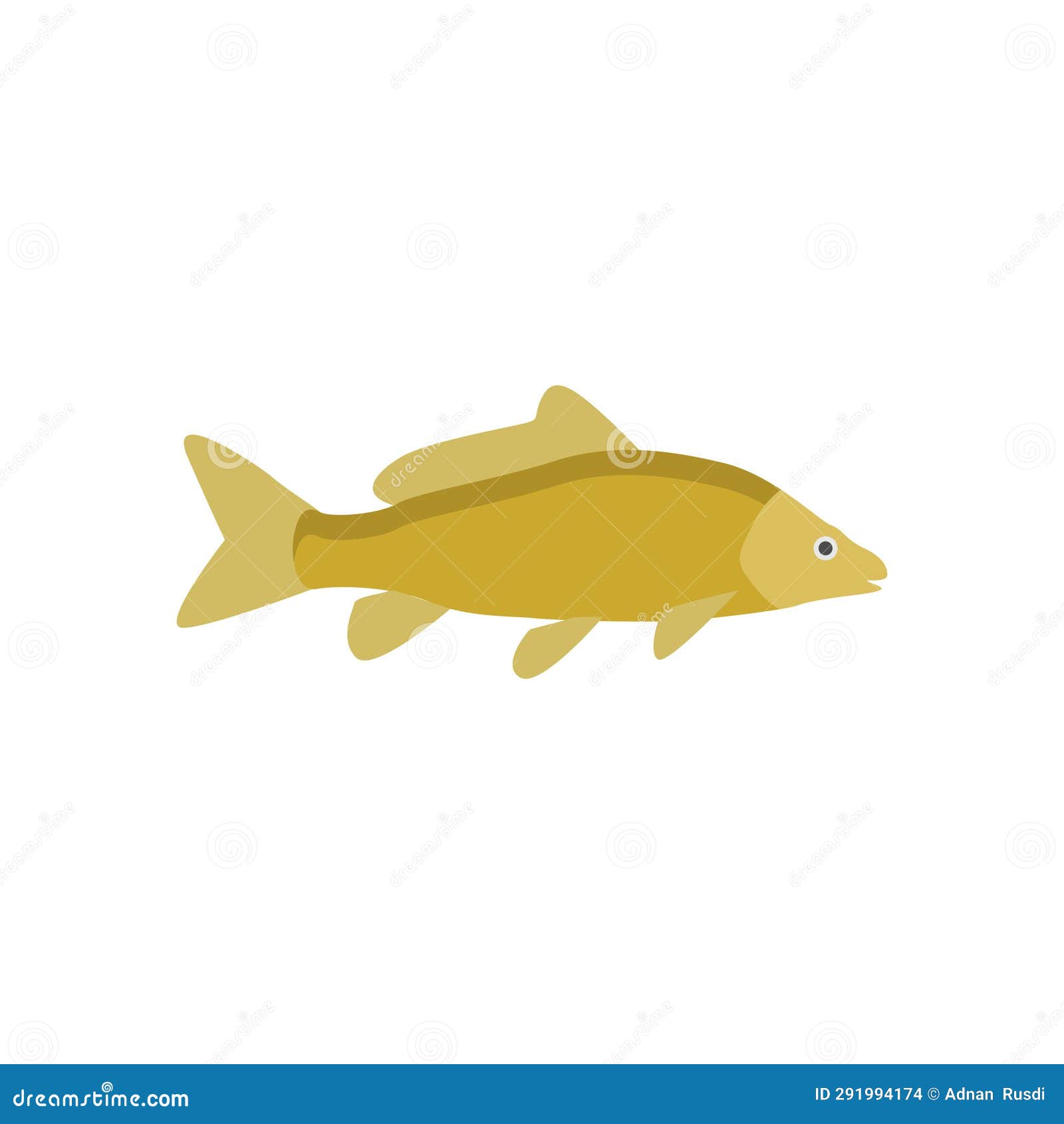 Freshwater Carp Fish Flat Design Vector Illustration Stock Illustration ...