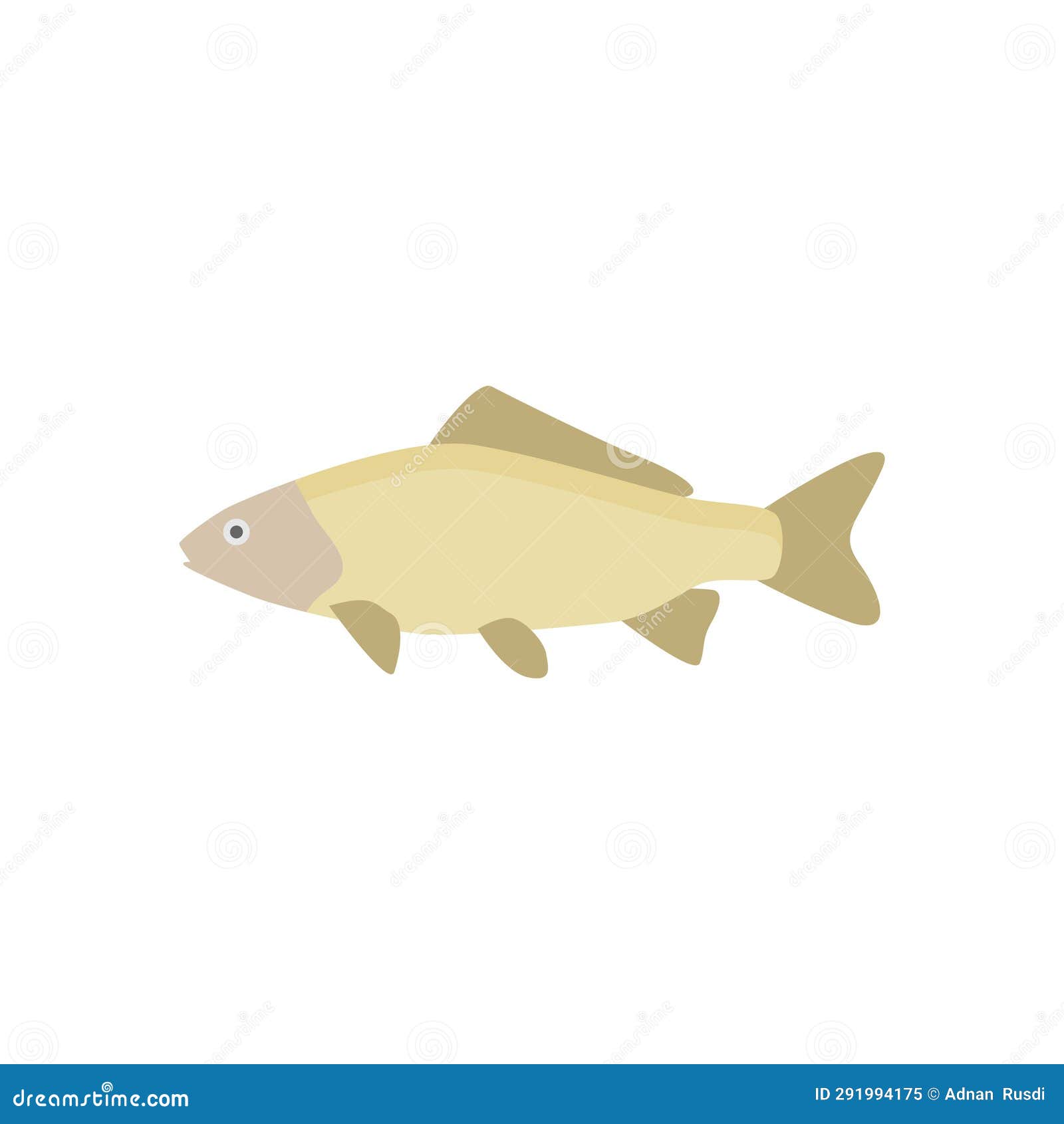 Freshwater Carp Fish Flat Design Vector Illustration Stock Vector ...