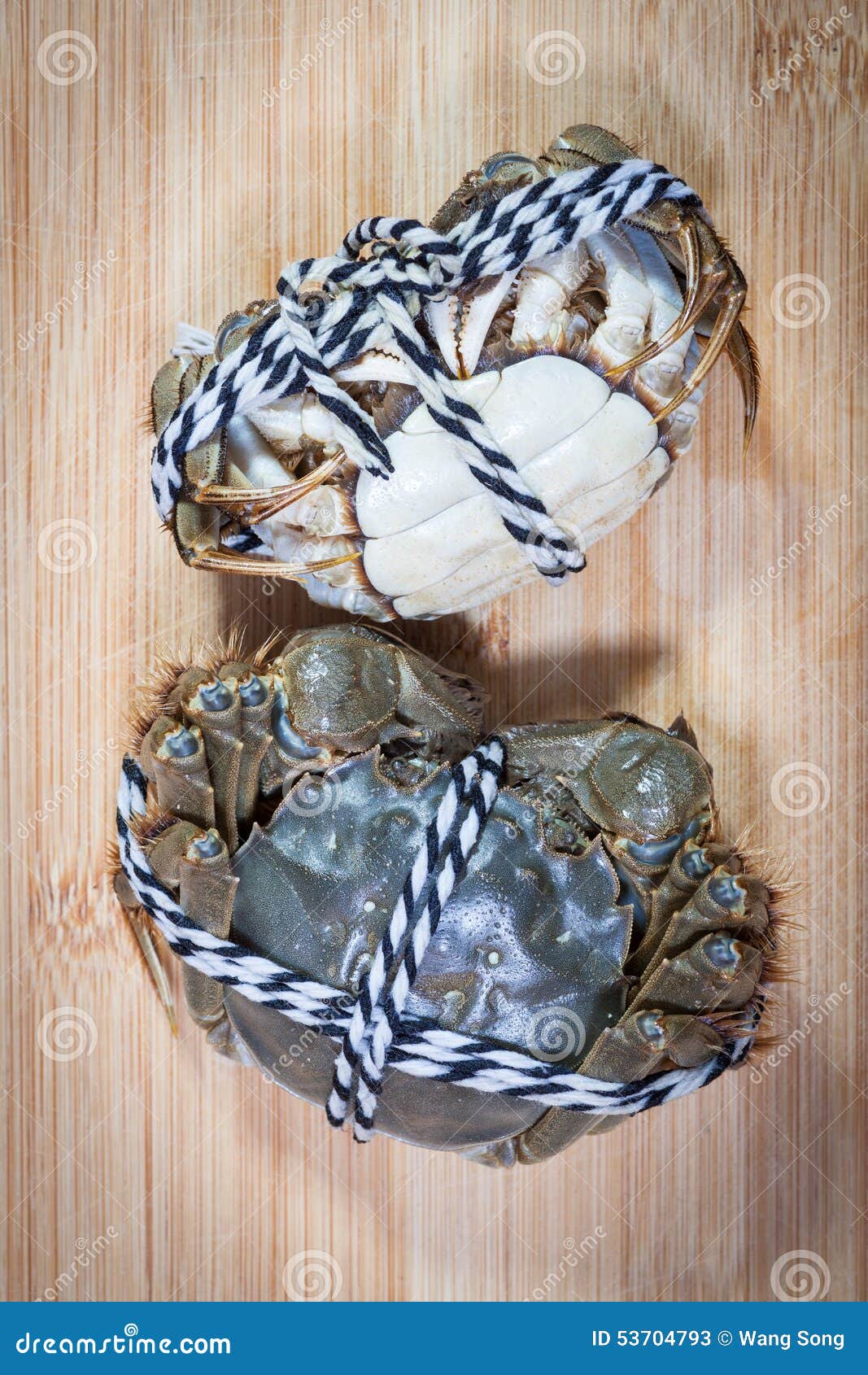 Freshwater crabs stock image. Image of white, crabs, nature - 53704793