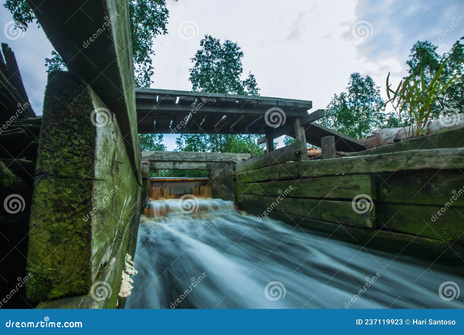 Freshwater Dam or Canal stock image. Image of asia, gambut - 237119923
