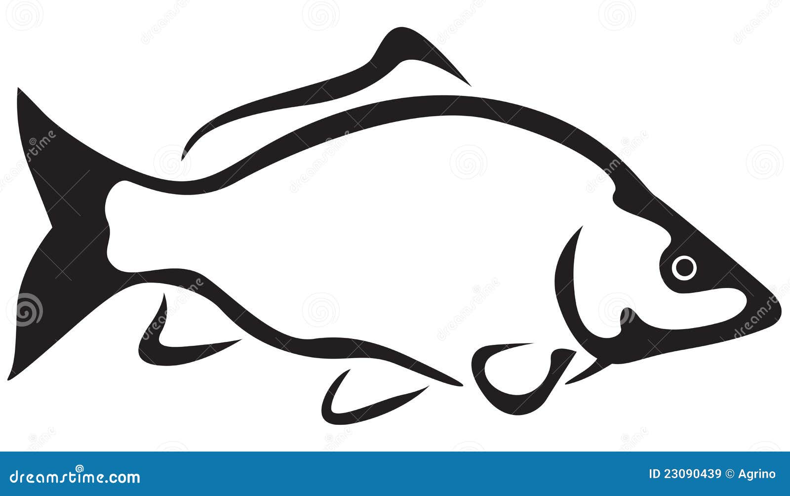 The Freshwater Fish - Common Barbel (Barbus Barbus). Royalty-Free ...