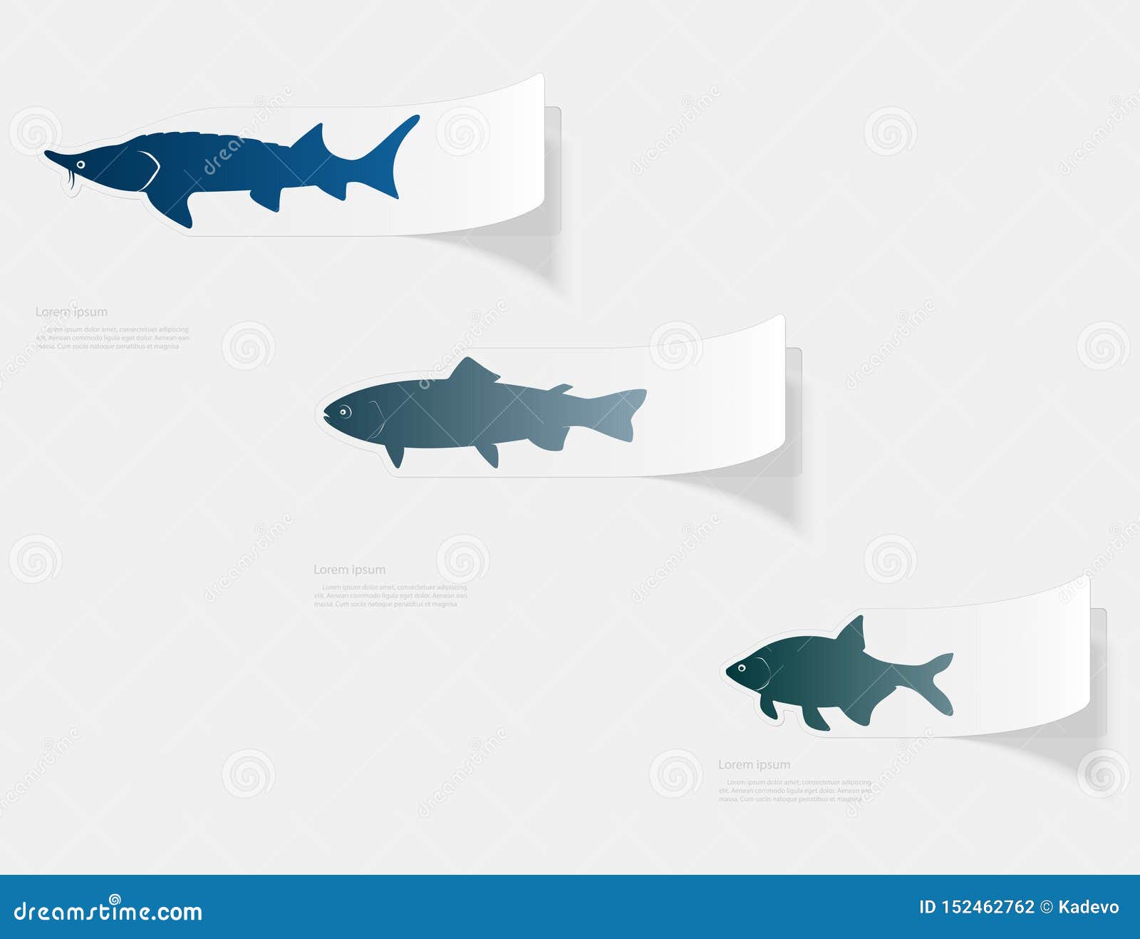 Freshwater Fish. Flat Sticker with Shadow on White Background Stock ...