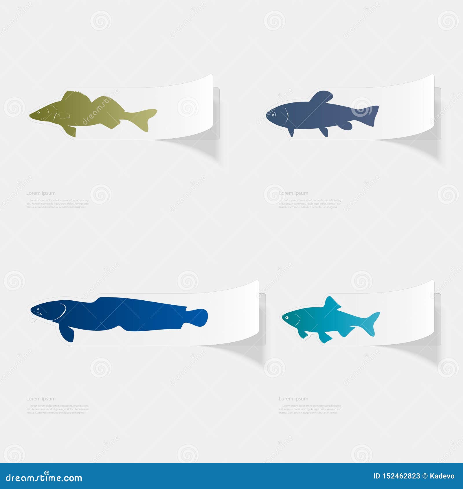 Freshwater Fish. Flat Sticker with Shadow on White Background Stock ...