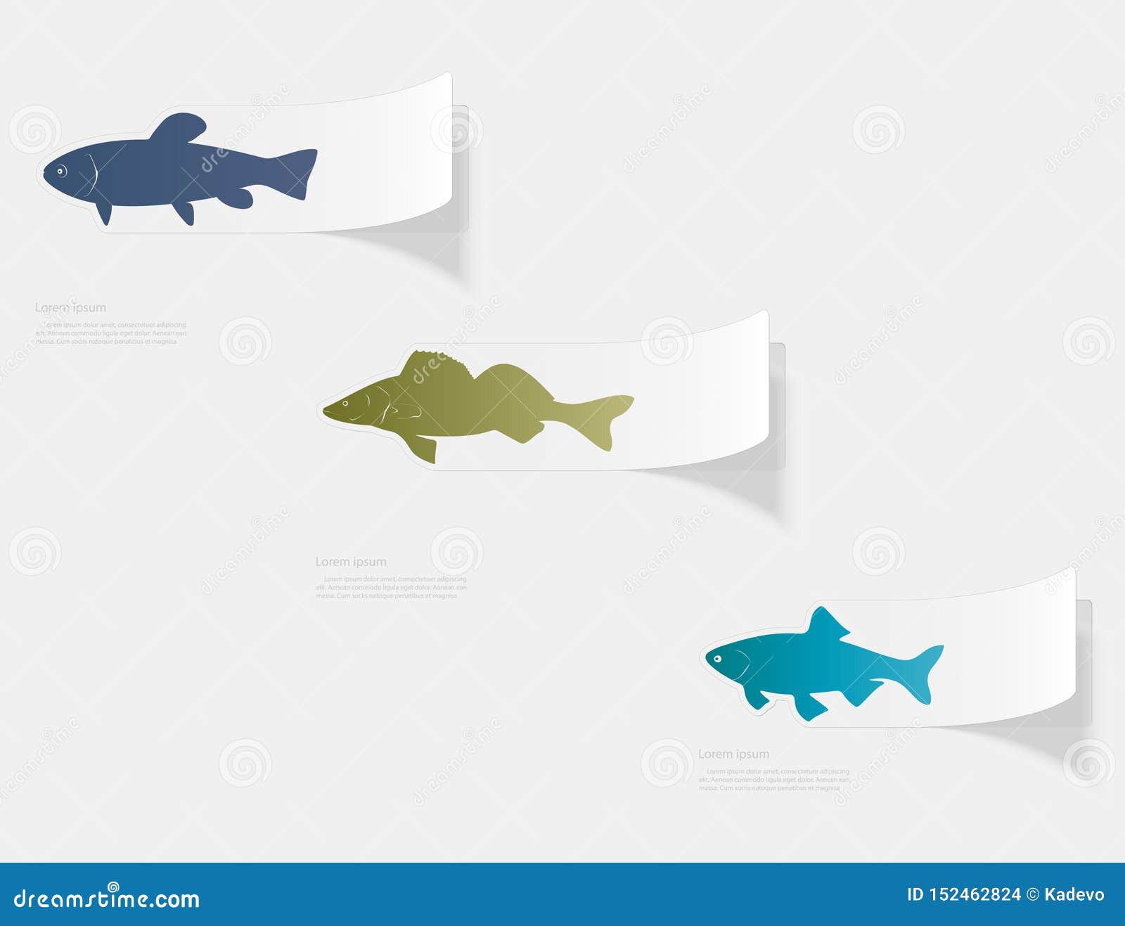 Freshwater Fish. Flat Sticker with Shadow on White Background Stock ...