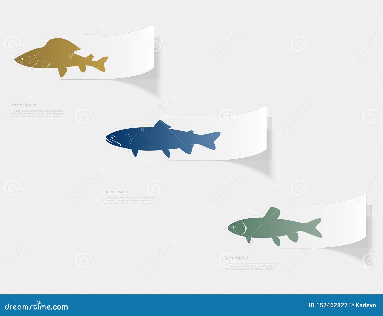Freshwater Fish. Flat Sticker with Shadow on White Background Stock ...