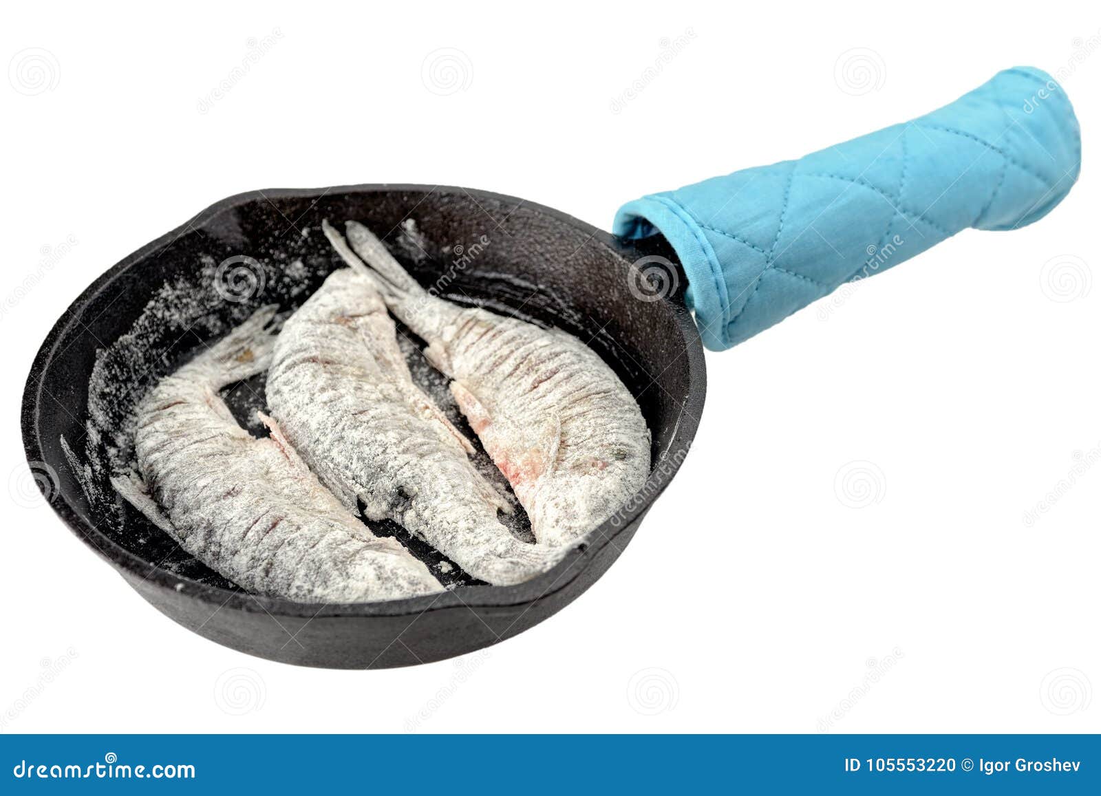 Freshwater fish roach stock photo. Image of freshwater - 105553220