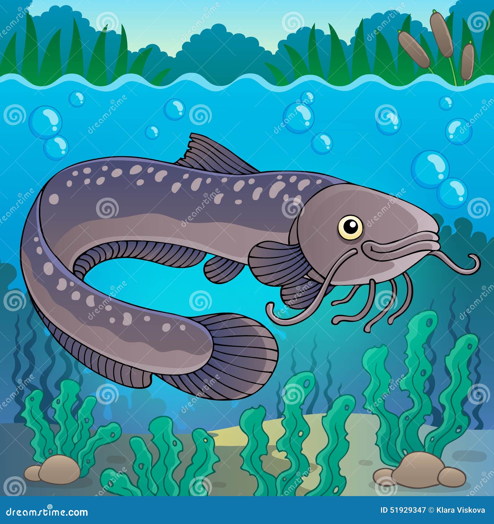 Freshwater Fish Egg Spawn Cartoon Vector | CartoonDealer.com #221065403