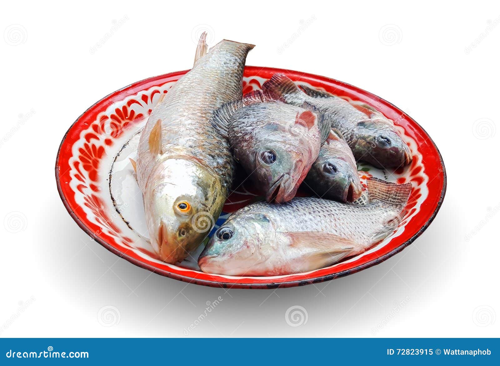 Freshwater Fish in a Tray Ready for Cooking. Stock Image - Image of ...
