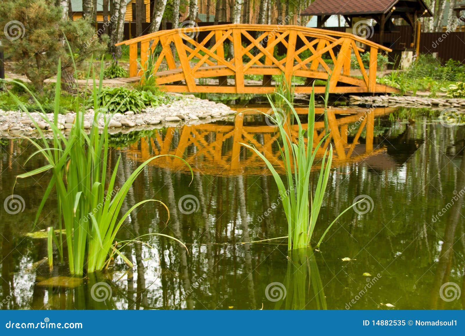 Freshwater Marsh with Bridge Stock Image - Image of lawn, landscape ...