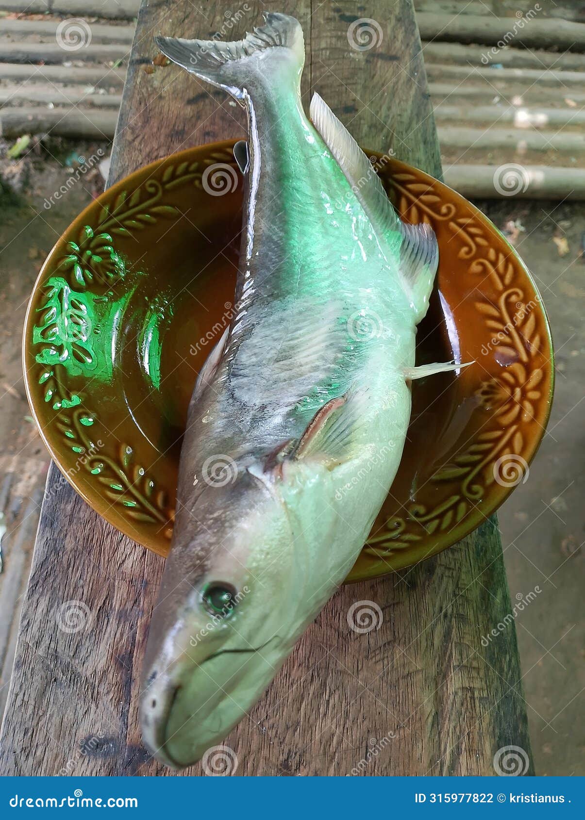 Freshwater Pond Catfish, Food Fish Stock Photo - Image of fish, pond ...