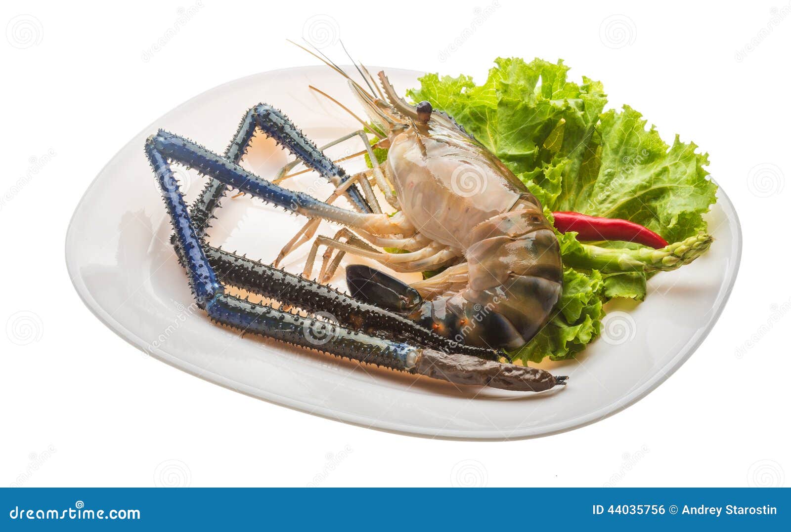 Freshwater prawn stock photo. Image of animal, gourmet - 44035756