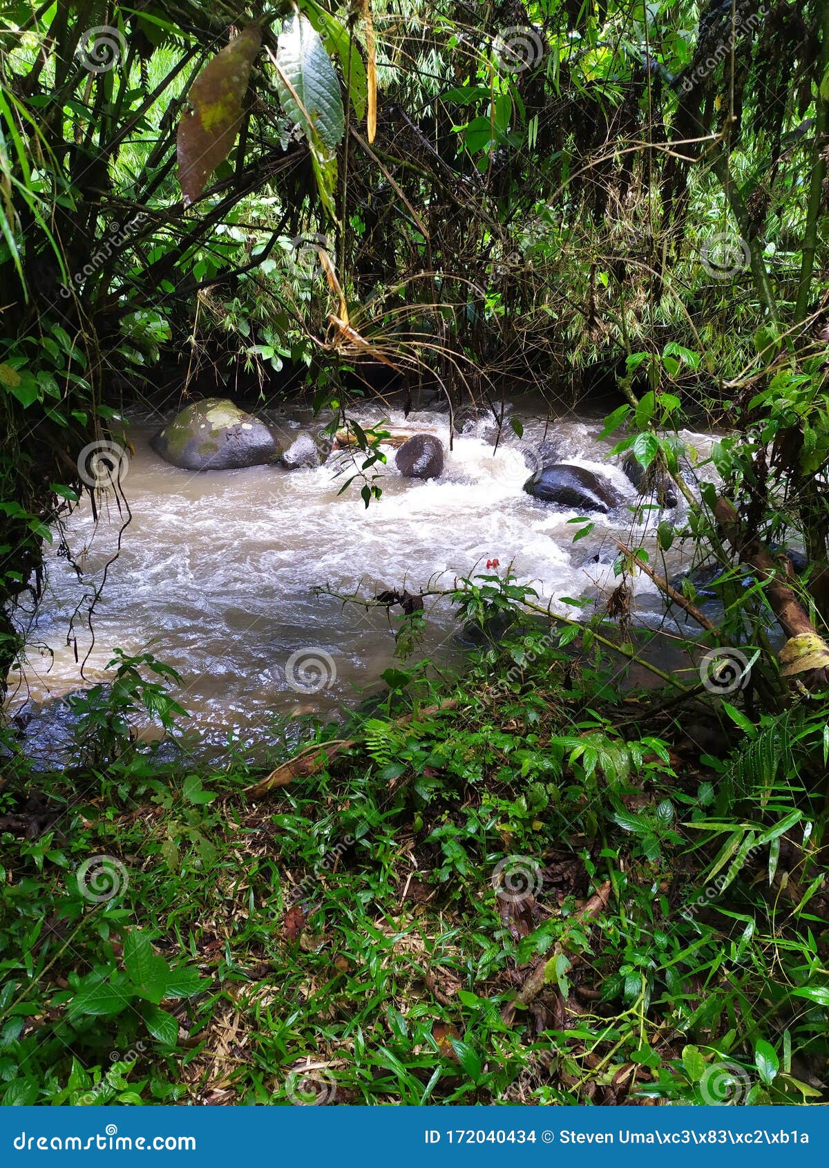 Freshwater river stock photo. Image of livegreen, freshwater - 172040434