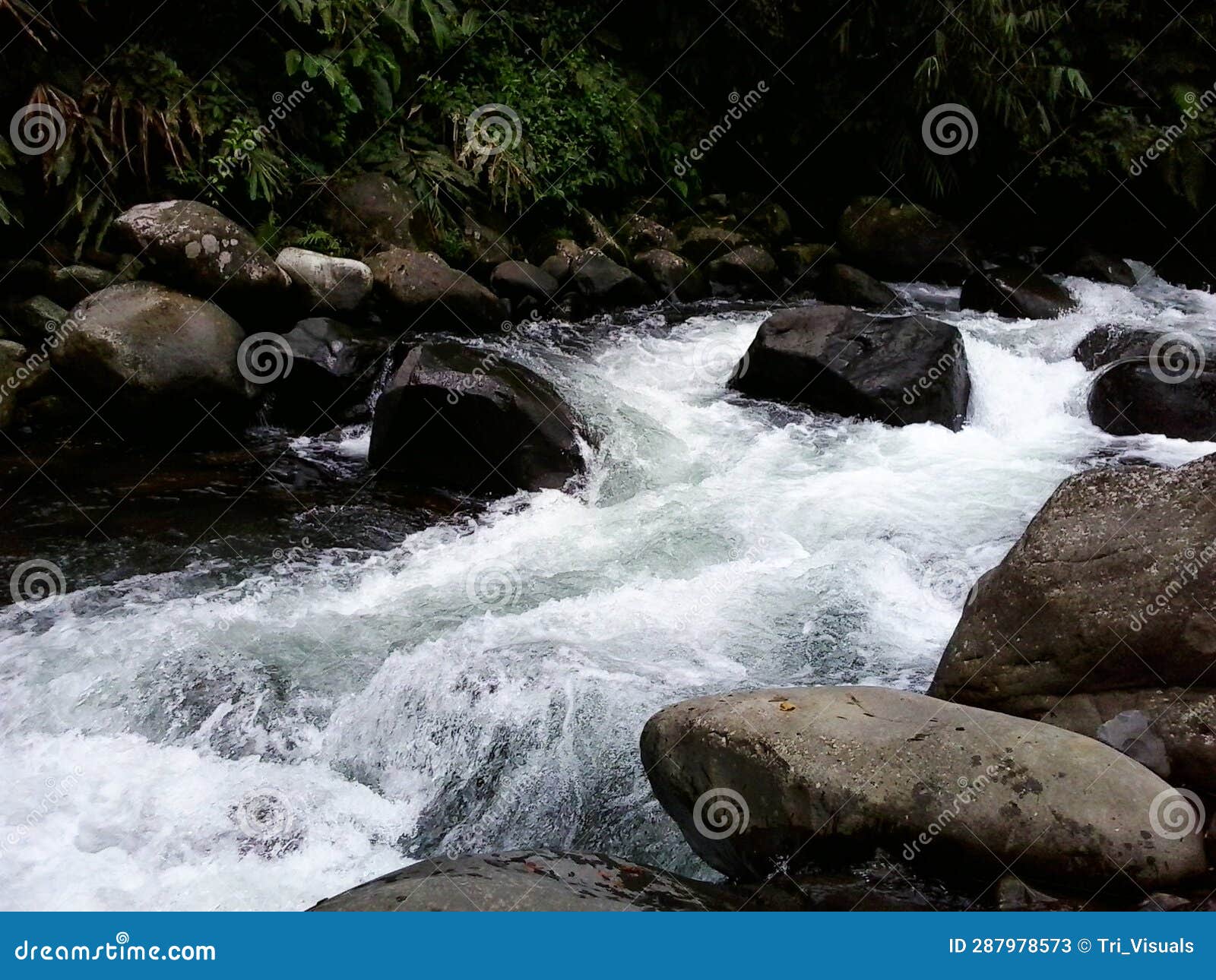 Freshwater River Stream Flowing between the Rocks Stock Image - Image ...