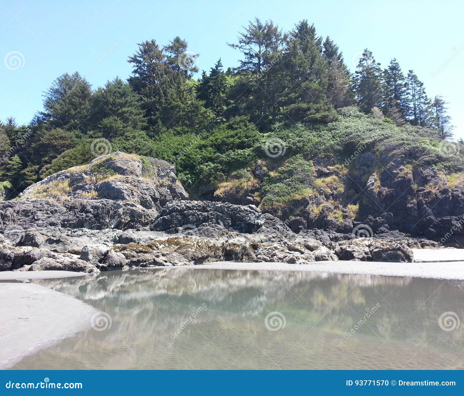 Freshwater Spring Meets the Pacific Stock Photo - Image of colorful ...
