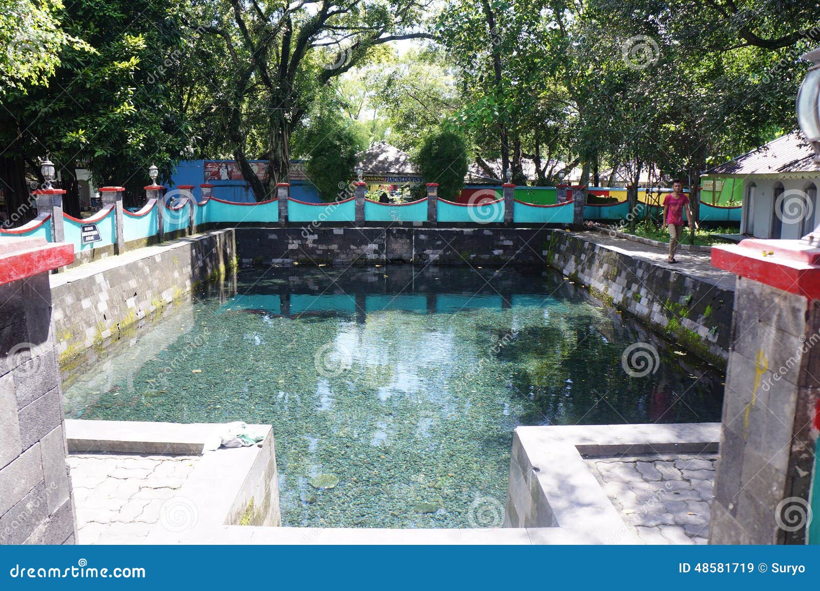 Freshwater springs editorial stock image. Image of solo - 48581719