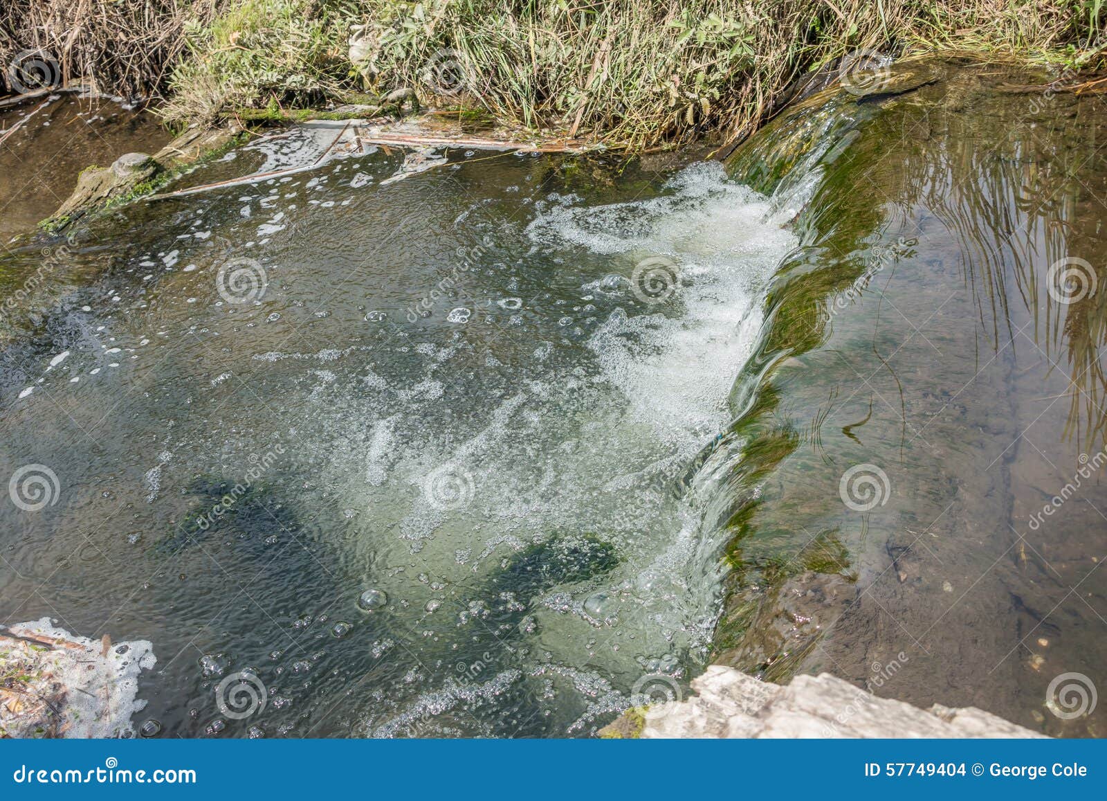 Freshwater Stream stock photo. Image of washington, park - 57749404