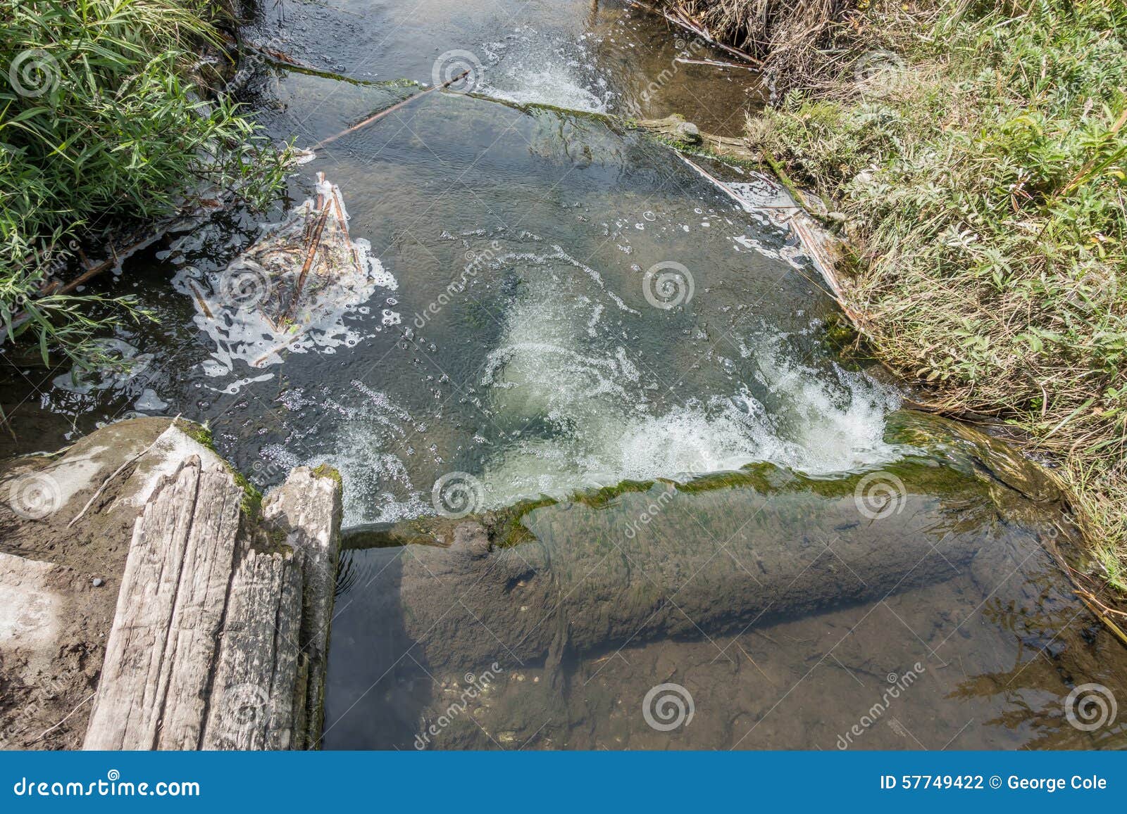 Freshwater Stream 3 stock photo. Image of landscape, creek - 57749422