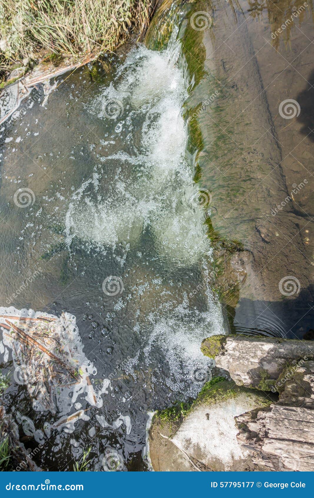 Freshwater Stream 5 stock image. Image of normandy, northwest - 57795177