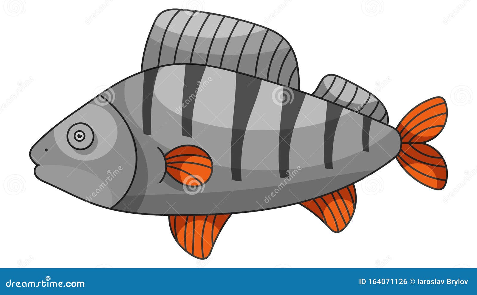 Yellow Perch Fish Vector Illustration Transparent Background Royalty ...