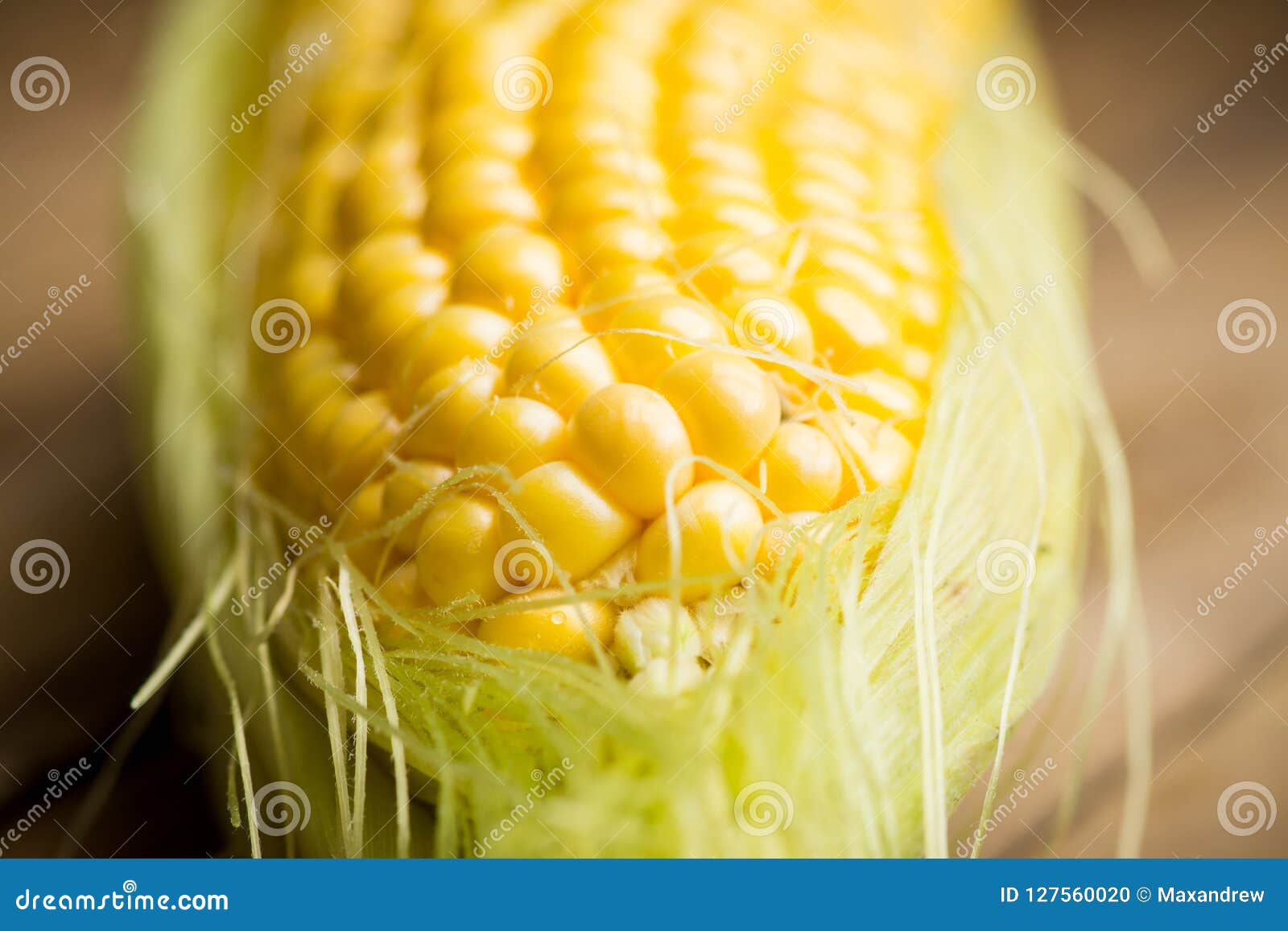 Freshy Colheu O Milho Na Caixa De Madeira Foto de Stock - Imagem de ...