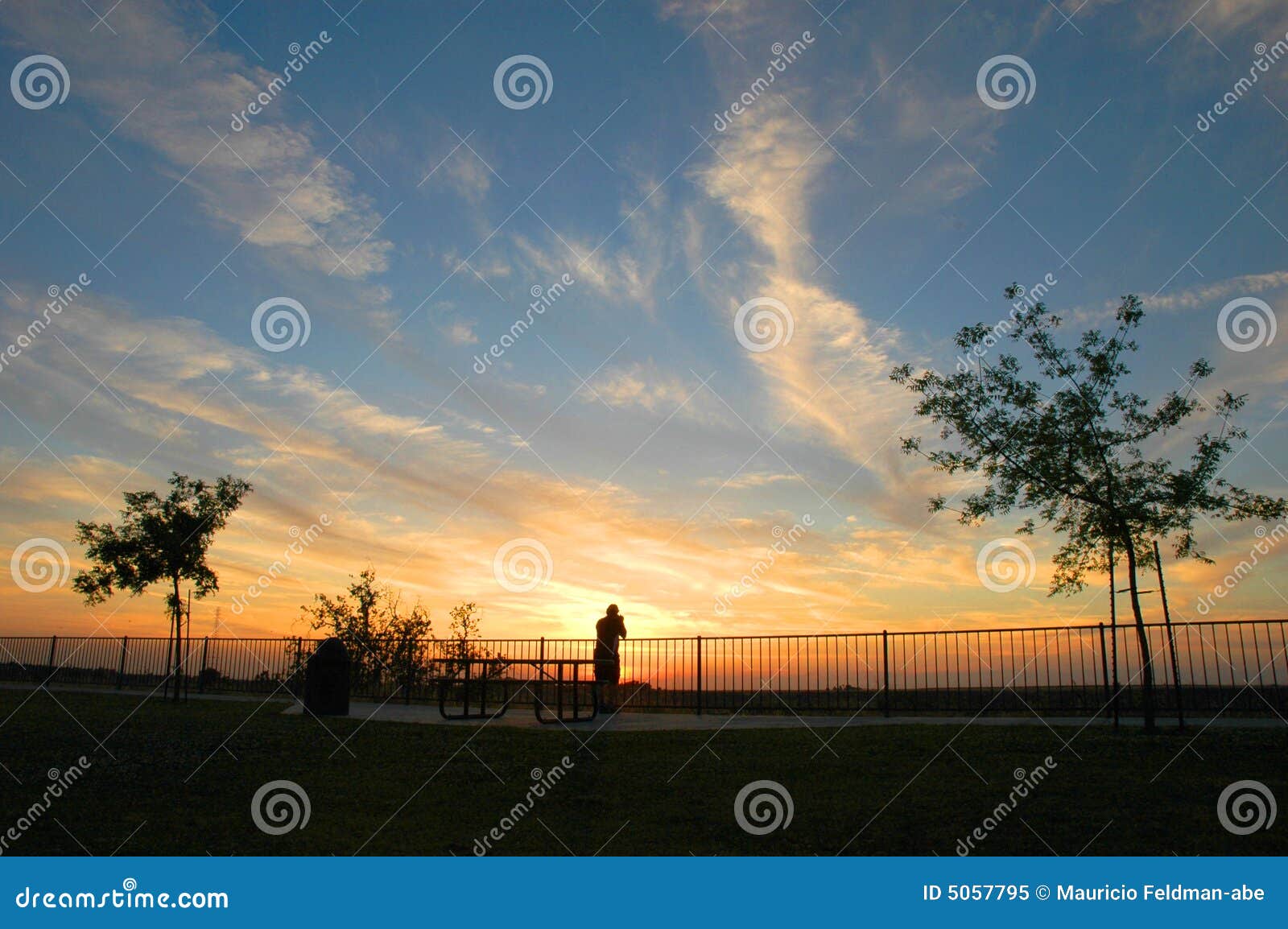 Fresno Sunset stock image. Image of photographer, tree - 5057795