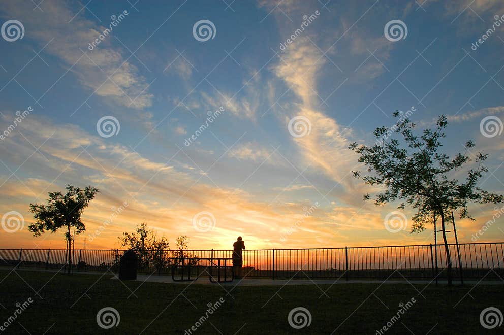 Fresno Sunset stock image. Image of photographer, tree - 5057795