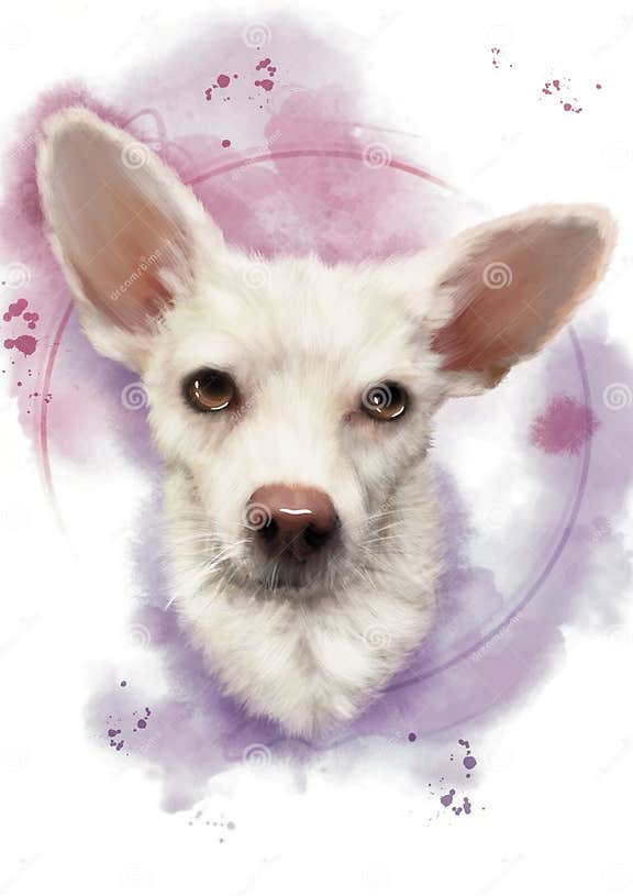 Digital Drawing Art of a Little Street Dog Stock Illustration ...