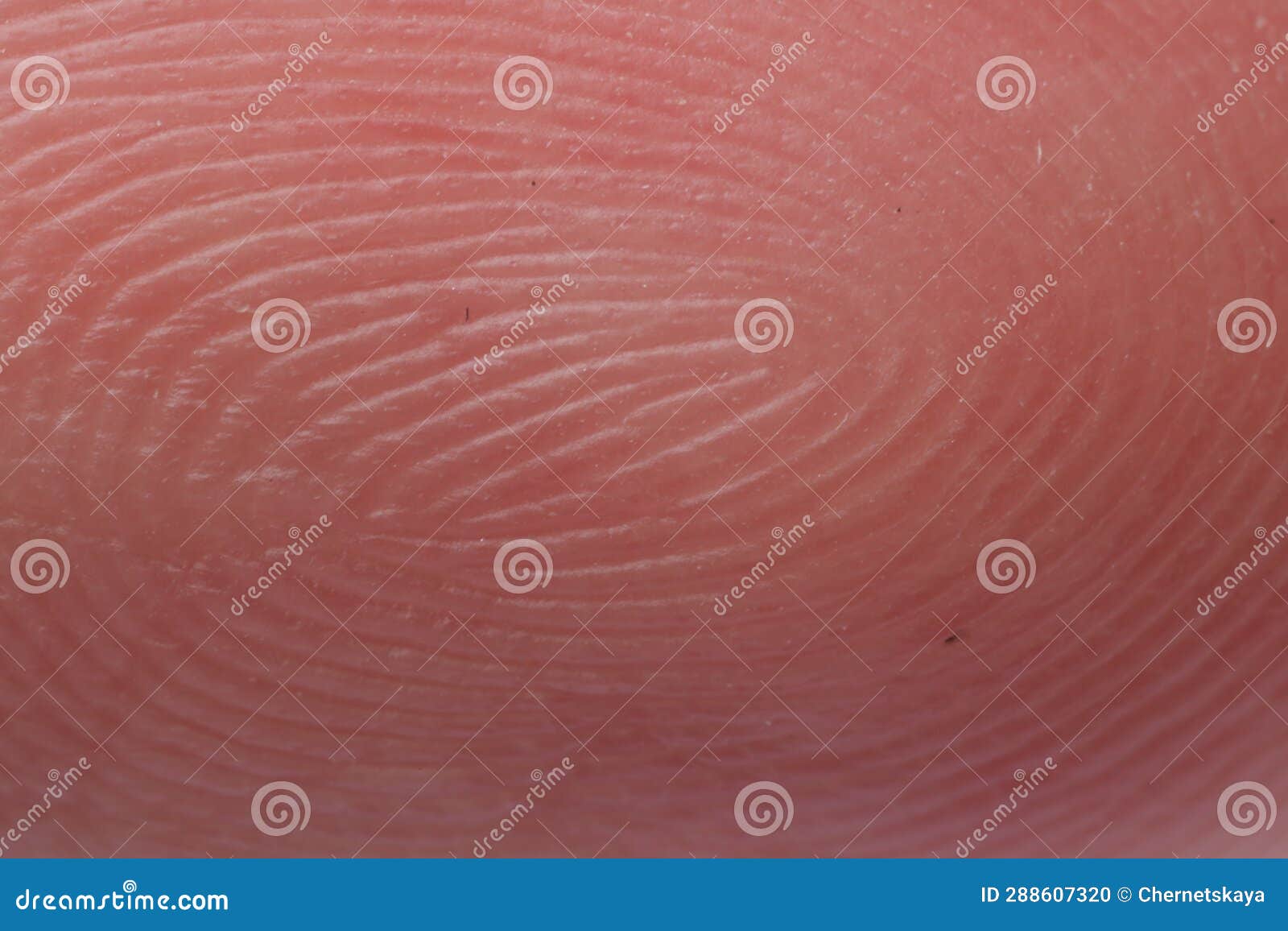 Friction Ridges on Finger As Background, Macro Stock Photo - Image of ...