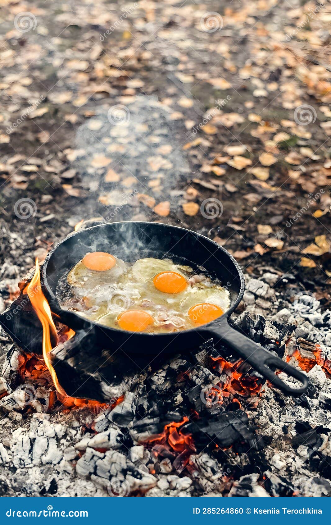 Fried Bacon in a Pan Over a Campfire in the Forest Stock Photo - Image ...