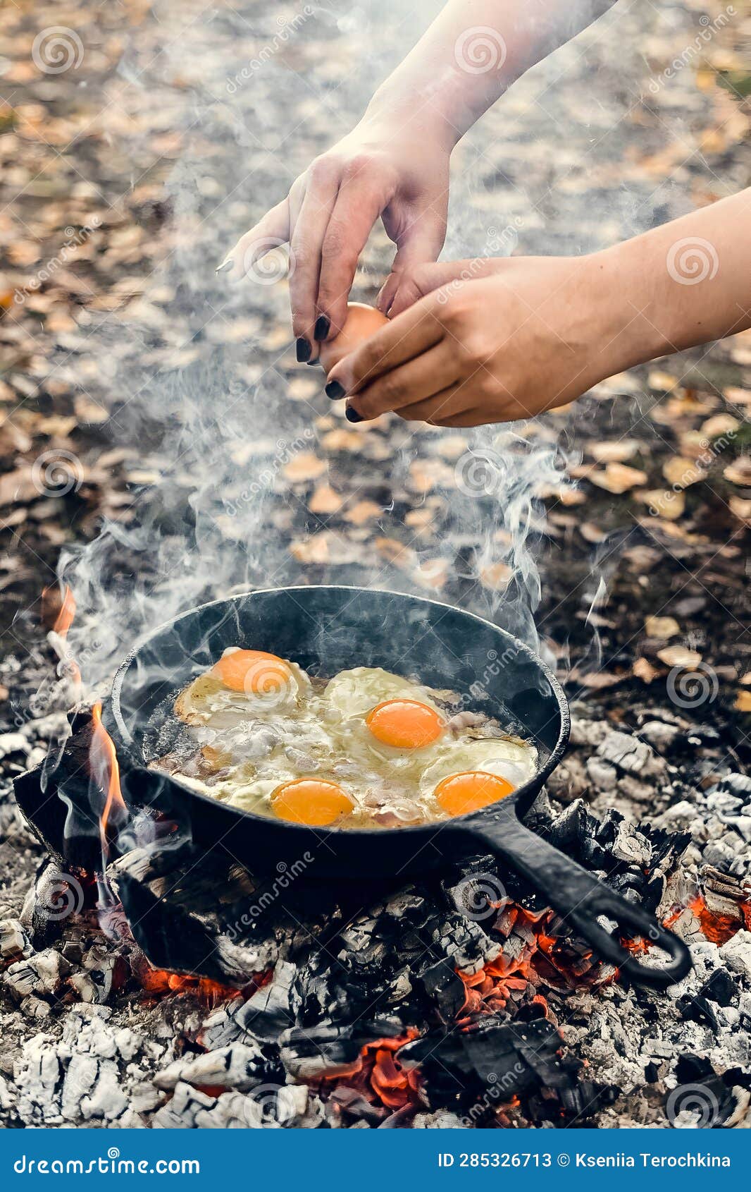 Fried Bacon in a Pan Over a Campfire in the Forest Stock Image - Image ...