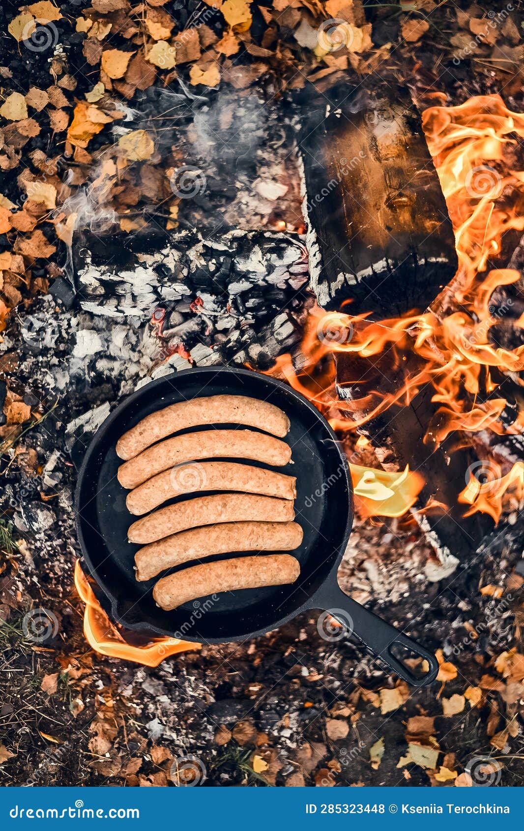 Fried Bacon in a Pan Over a Campfire in the Forest Stock Photo - Image ...